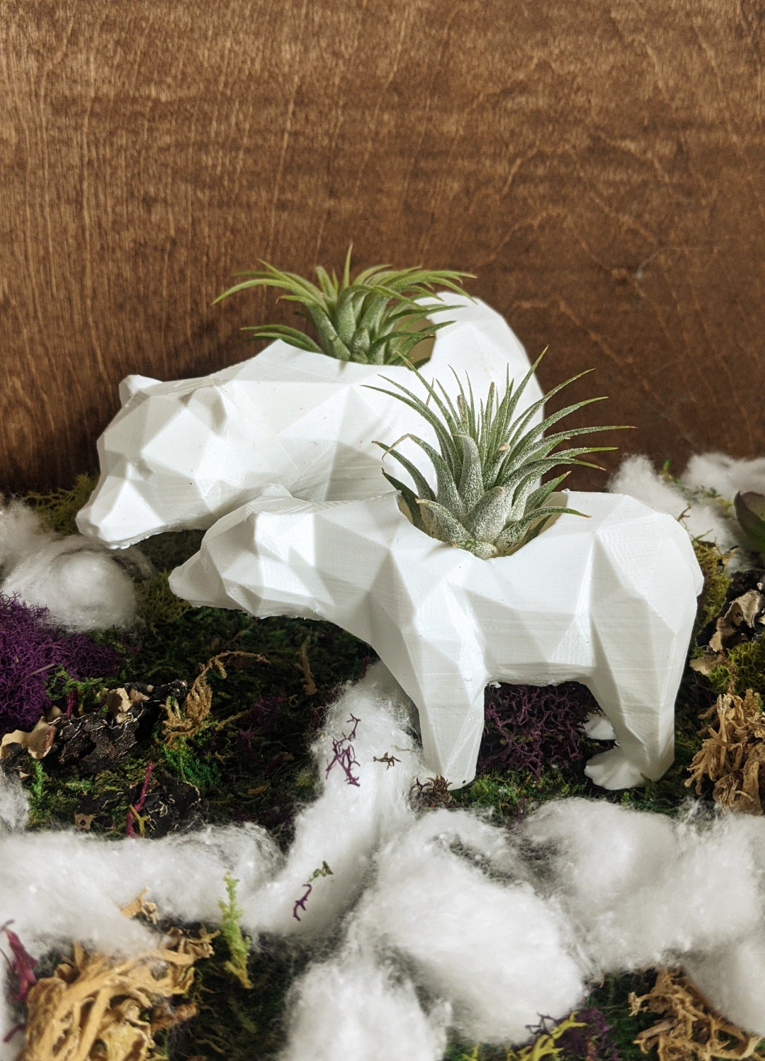 Polar Bear Planter Set, Air Plant Planters for Indoor Gardening - Etsy
