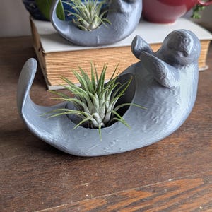 3D Printed Manatee Planter, for Indoor Air Plant and Small Succulent ...