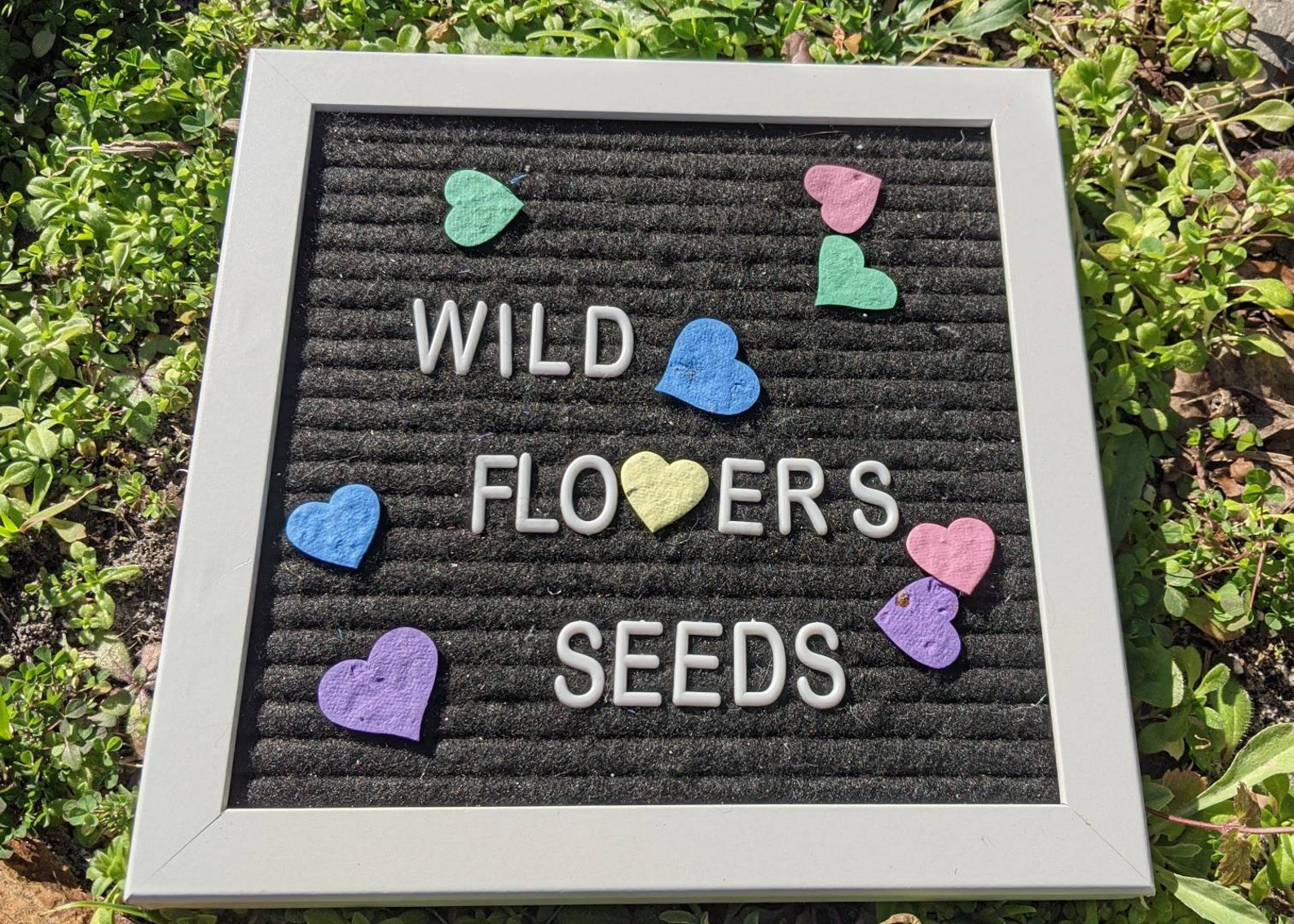 Biodegradable Seed Paper Heart Confetti Plantable for Party - Etsy