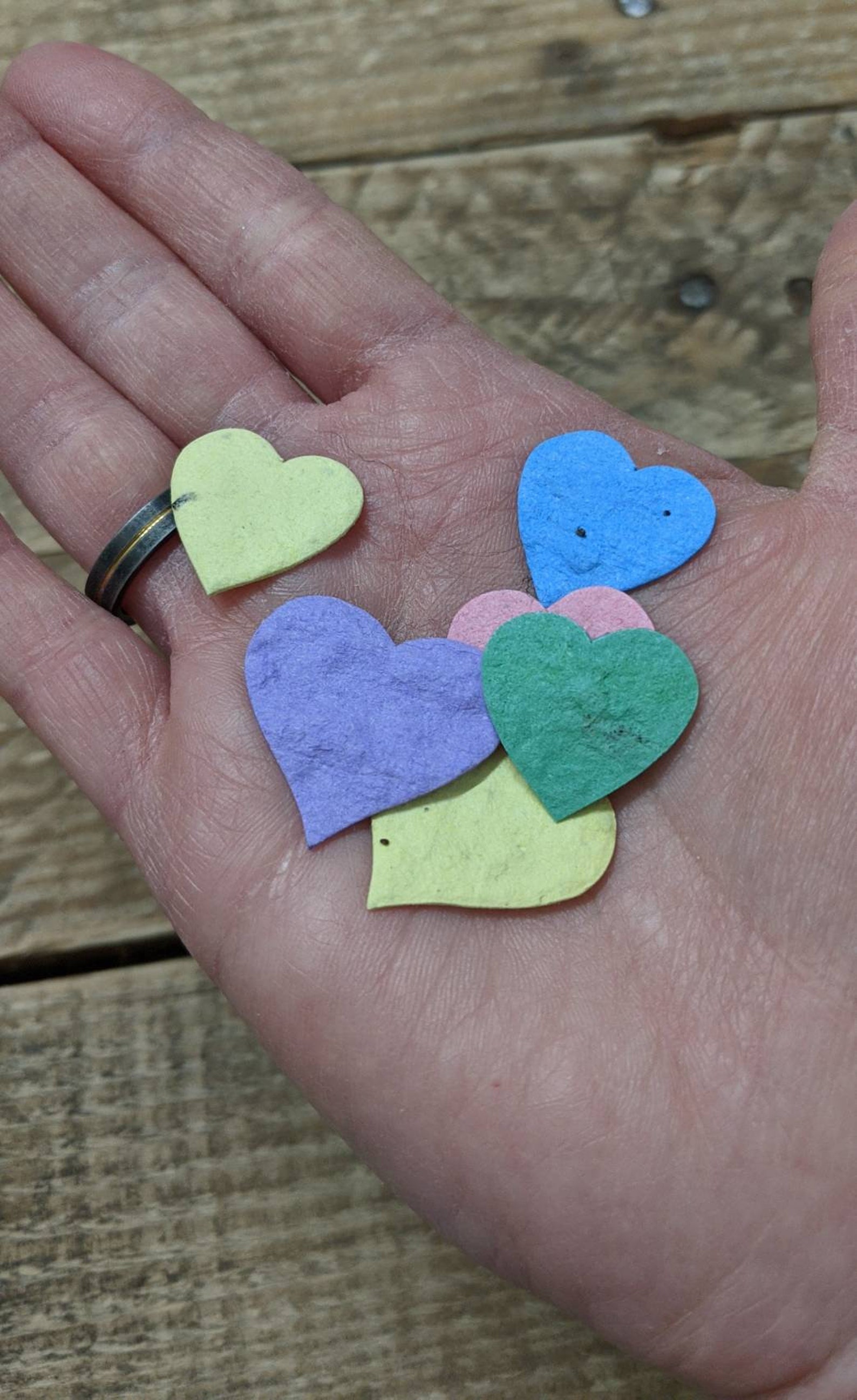 Biodegradable Seed Paper Heart Confetti Plantable for Party - Etsy