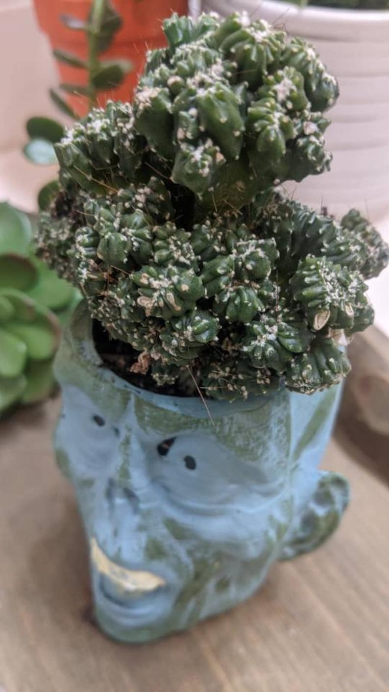 Zombie Planter 3D Printed for Succulents Cacti or | Etsy