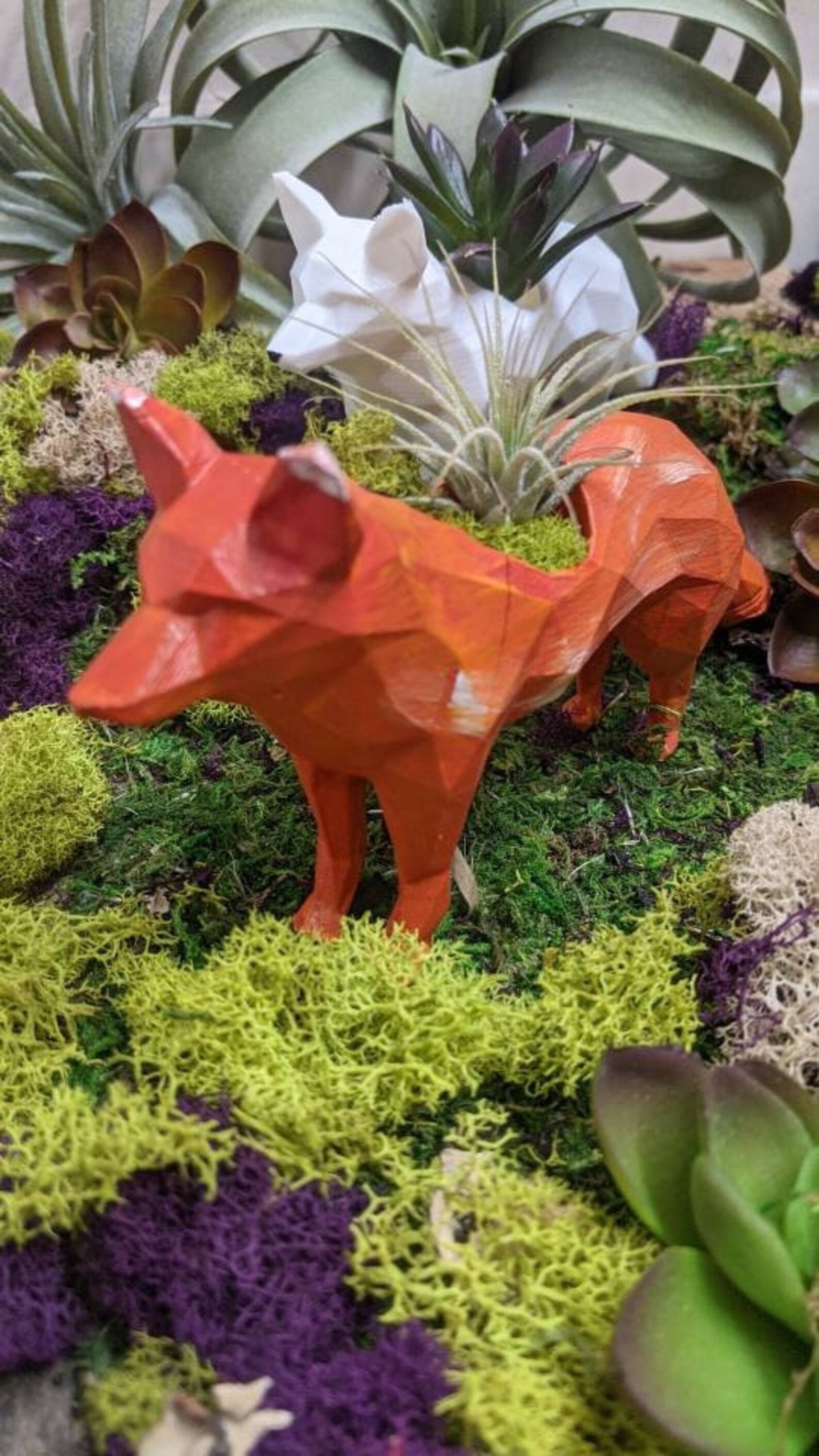 Cute Fox Planter, for Indoor Gardening for Air Plants, Red Fox or ...