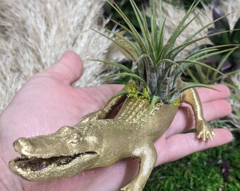 Alligator Planter | Etsy