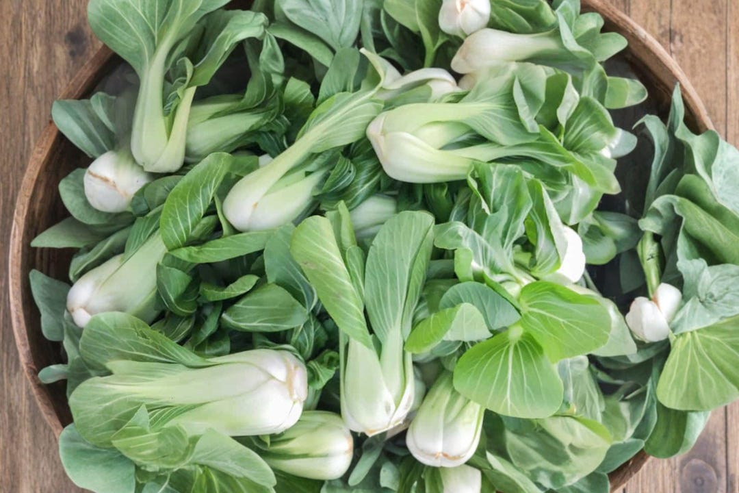 Extra Dwarf Pak Choi Seeds: Rare Heirloom White Stem Asian Greens for ...