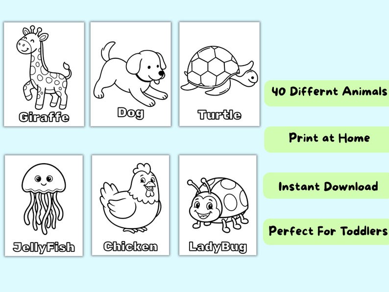 Basic Toddler Animal Word Coloring Pages - Etsy