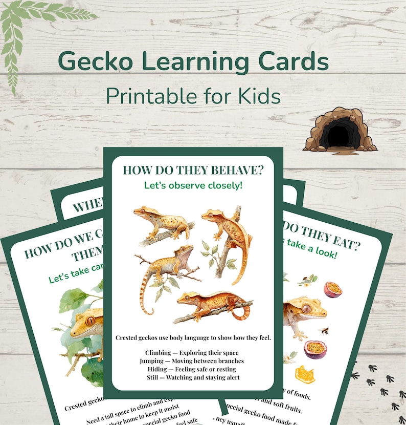 Gecko Activity Pack for Kids | Printable Matching Game, Habitat Cards ...