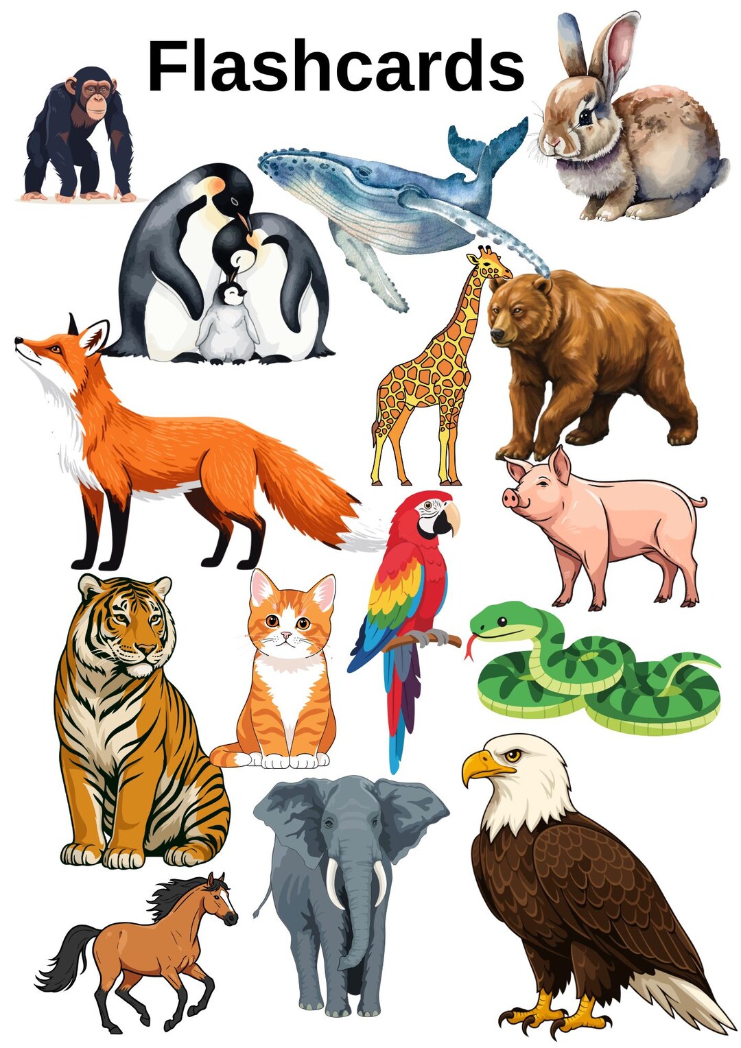 Animal Coloring Flashcards – Printable Kids Learning Cards, Toddler ...