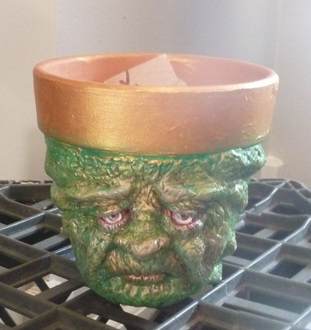 Flowerpots Face Funny Planters - Etsy
