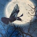 Raven Moon Spooky Halloween Fabric Panel 24" X 44" by Lynnea Washburn ...