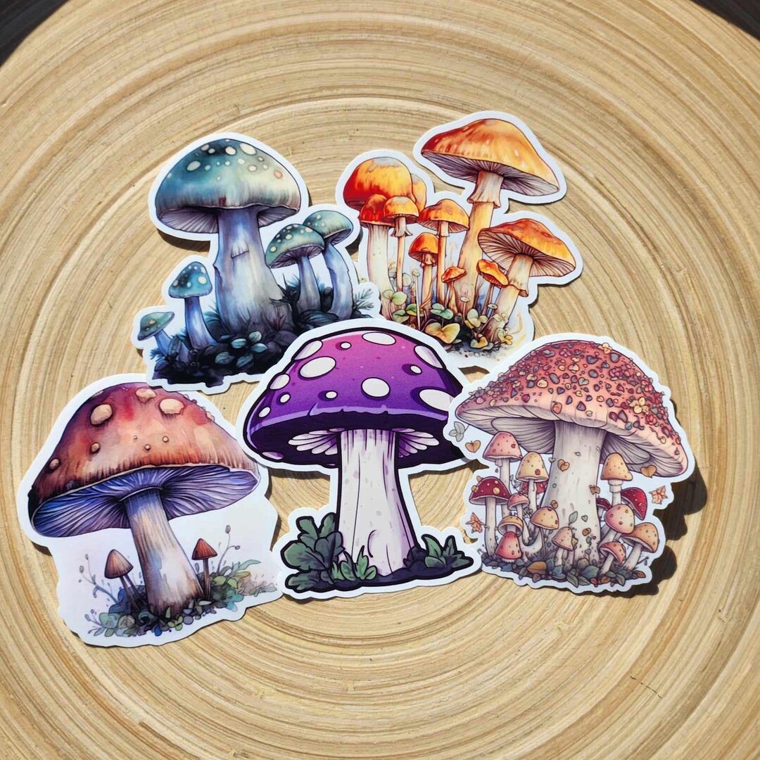 Mushrooms Sticker Pack | Pack of 5 Stickers | 3" Stickers | Multi-pack ...