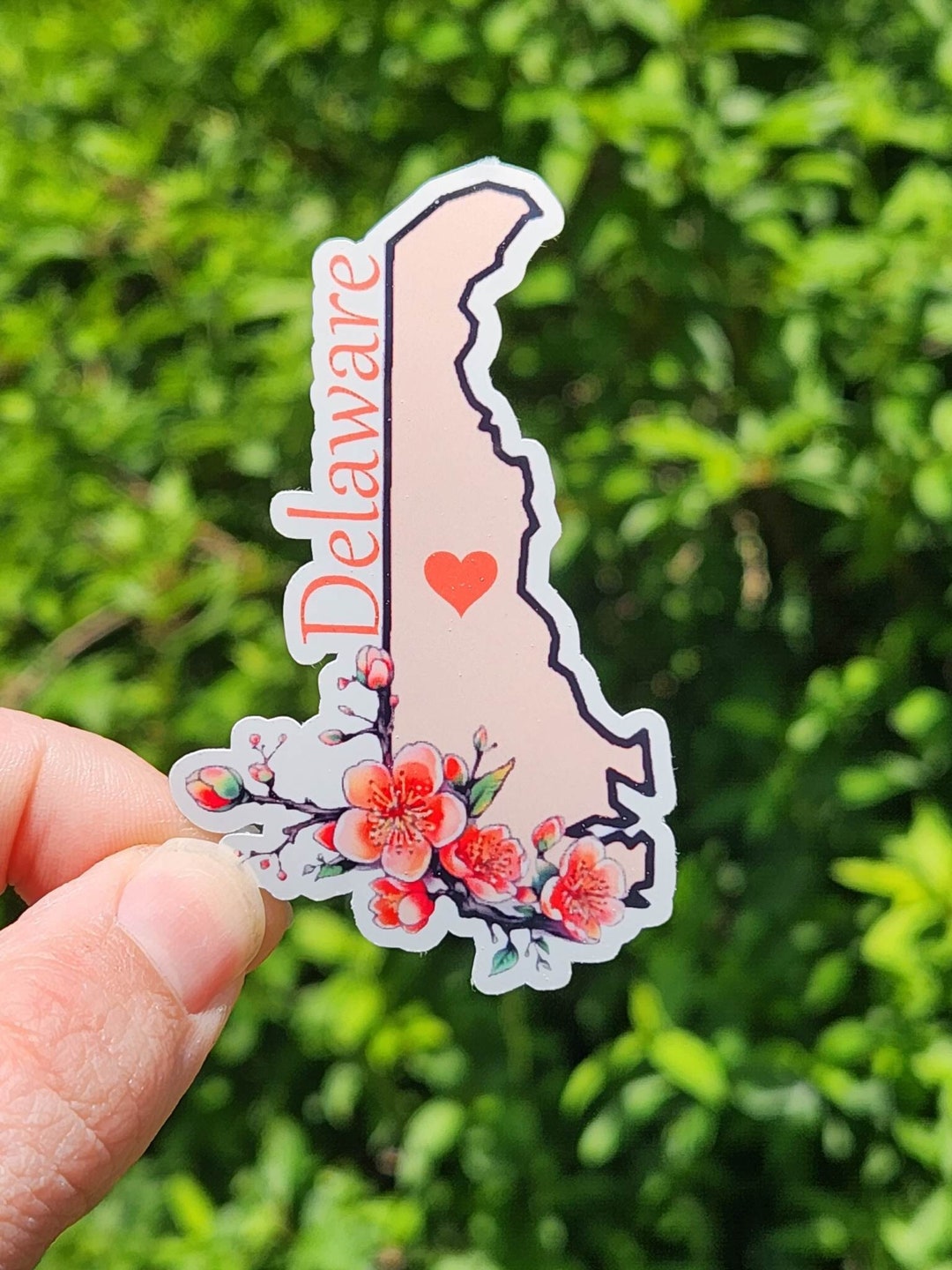 Delaware Peach Blossom Sticker | 3" Sticker | Vinyl Decal | Water ...
