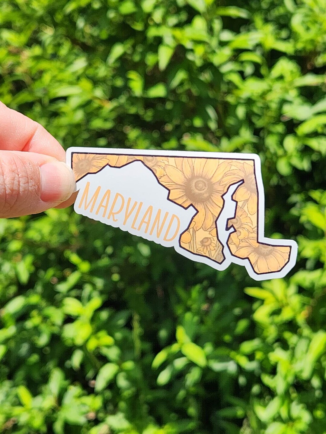 Maryland Black Eyed Susan Sticker | MD Sticker | 3" Sticker | Vinyl ...