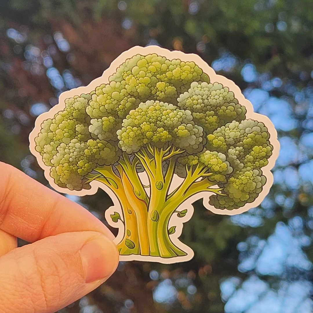 Broccoli Sticker | 3" Sticker | Vinyl Decal | Laptop Sticker | Water ...