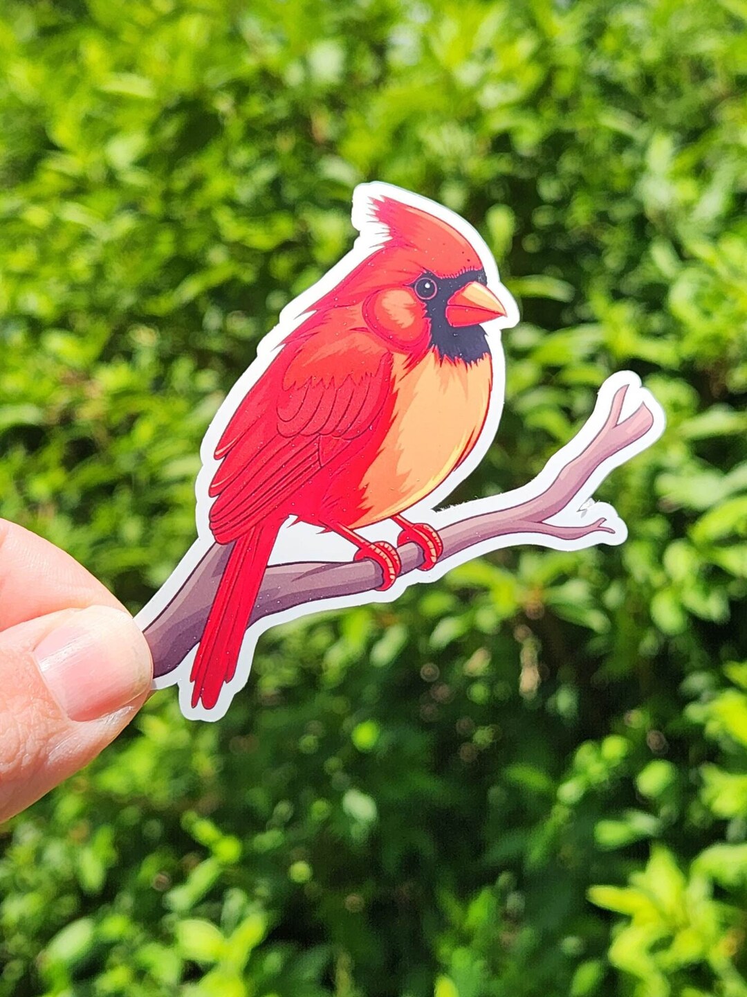 Red Cardinal Sticker | 3" Sticker | Vinyl Decal | Water Bottle Sticker ...