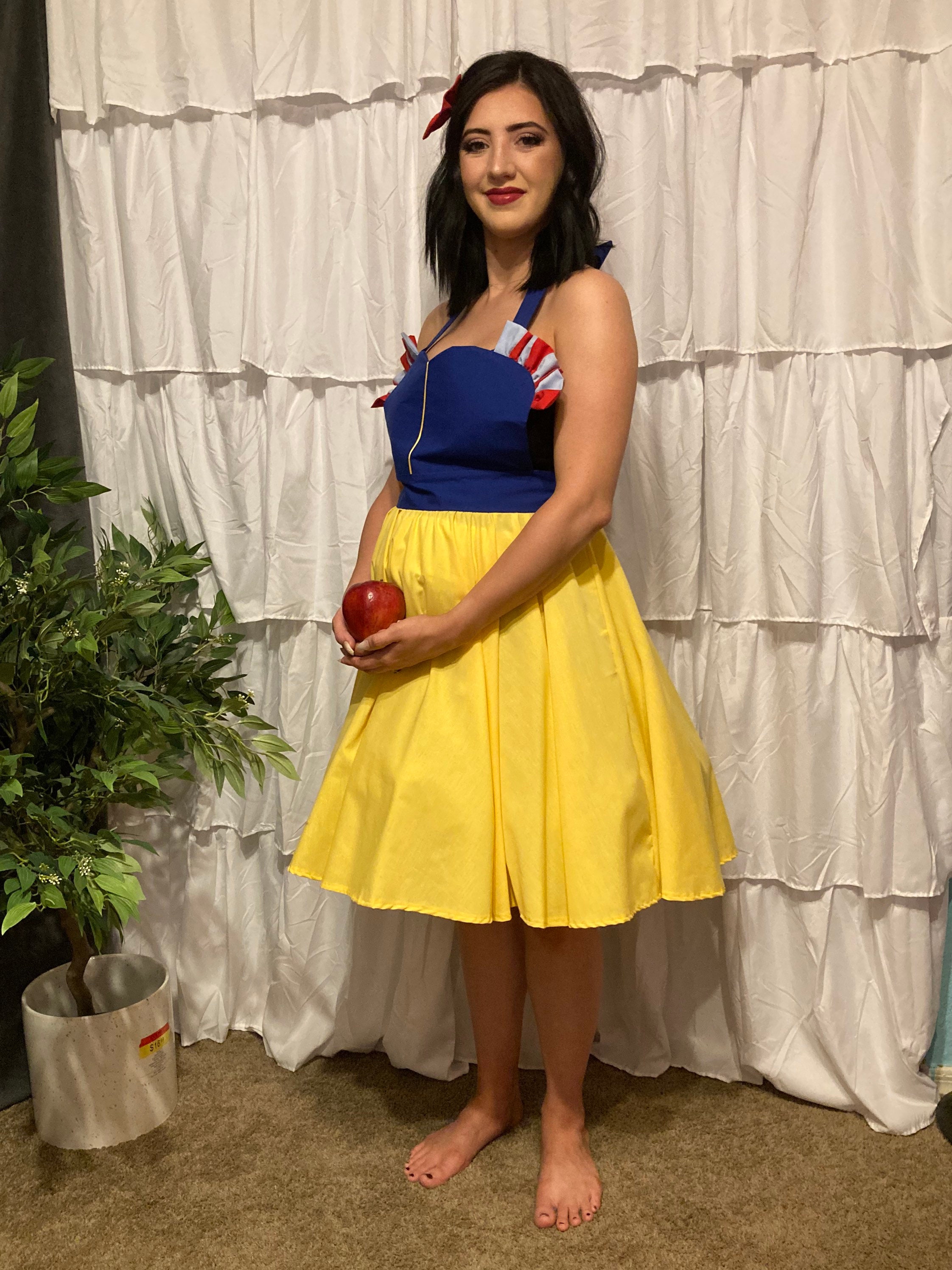 Easy Homemade Snow White Costume
