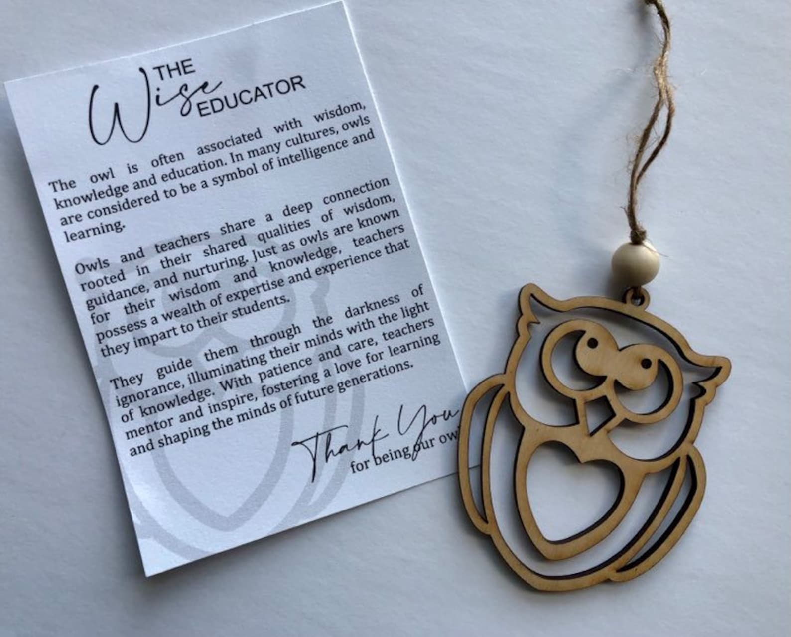 Wise Educator Ornament Teacher Christmas Gift - Etsy