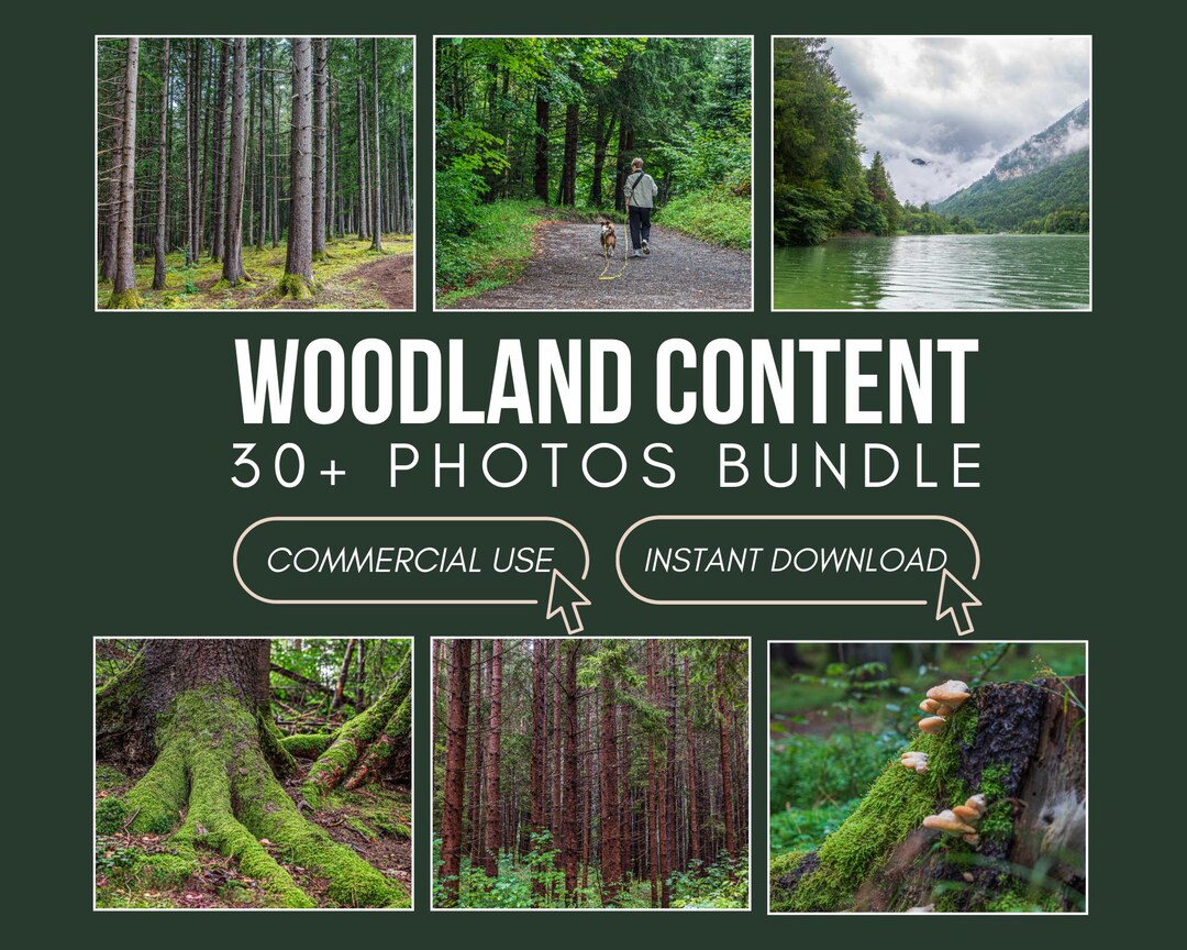 Commercial Use Nature Photo Bundle – Alpine Landscapes & Mossy Forests ...