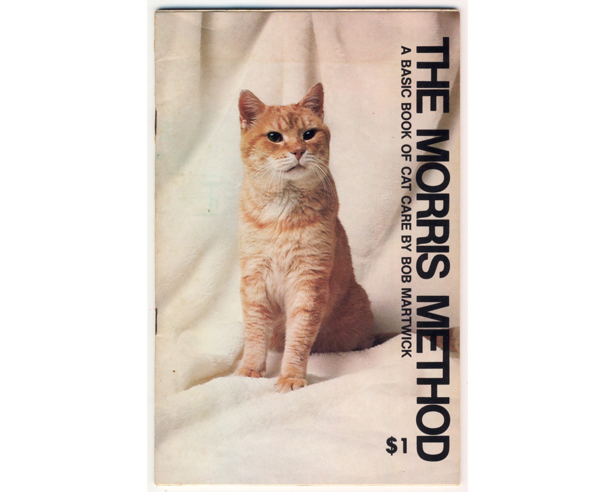 Morris the Cat Humor - Etsy