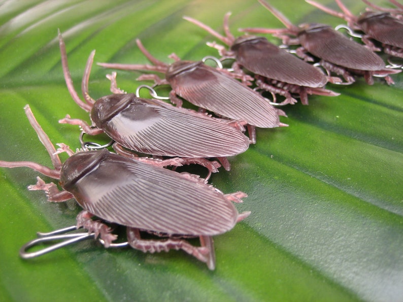 Silver Stearling Bracelete With Cockroach - Etsy