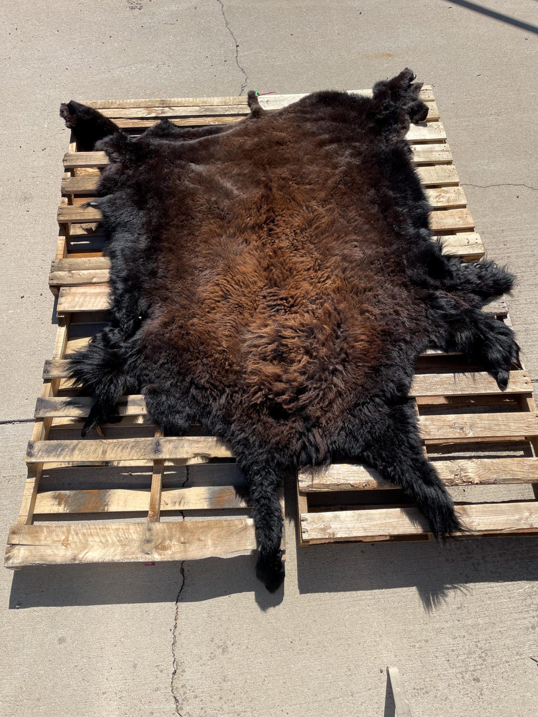 Bison Hide - Etsy