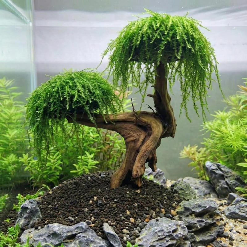 Fake Wood Fish Tank Decor - Etsy