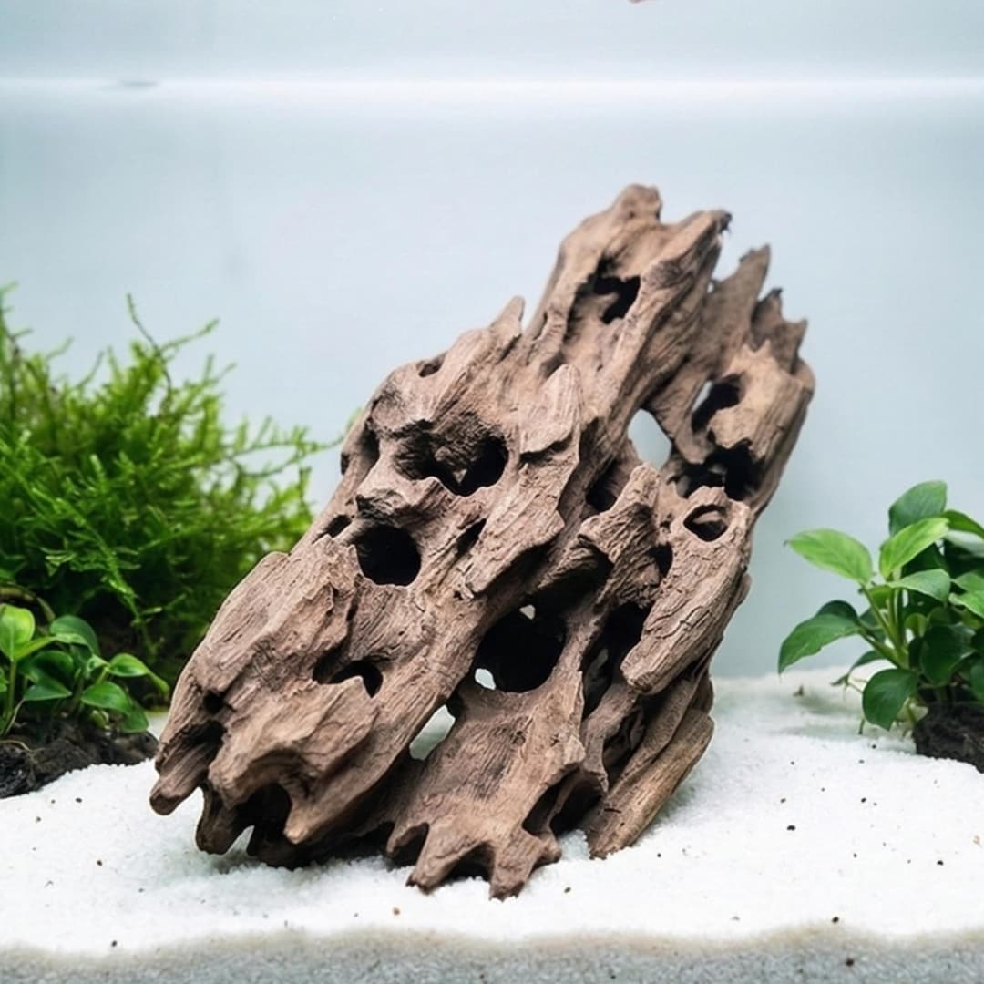 Natural Porous Shrimp Drift Wood Honeycomb Aquarium Decoration, Fish ...