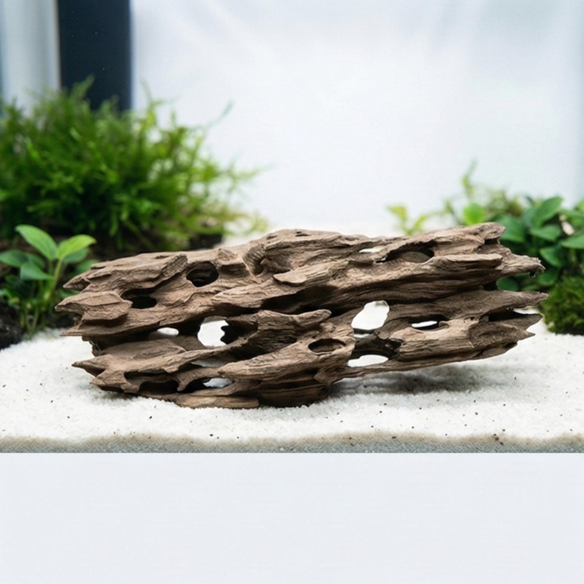 Natural Porous Shrimp Drift Wood Honeycomb Aquarium Decoration, Fish ...