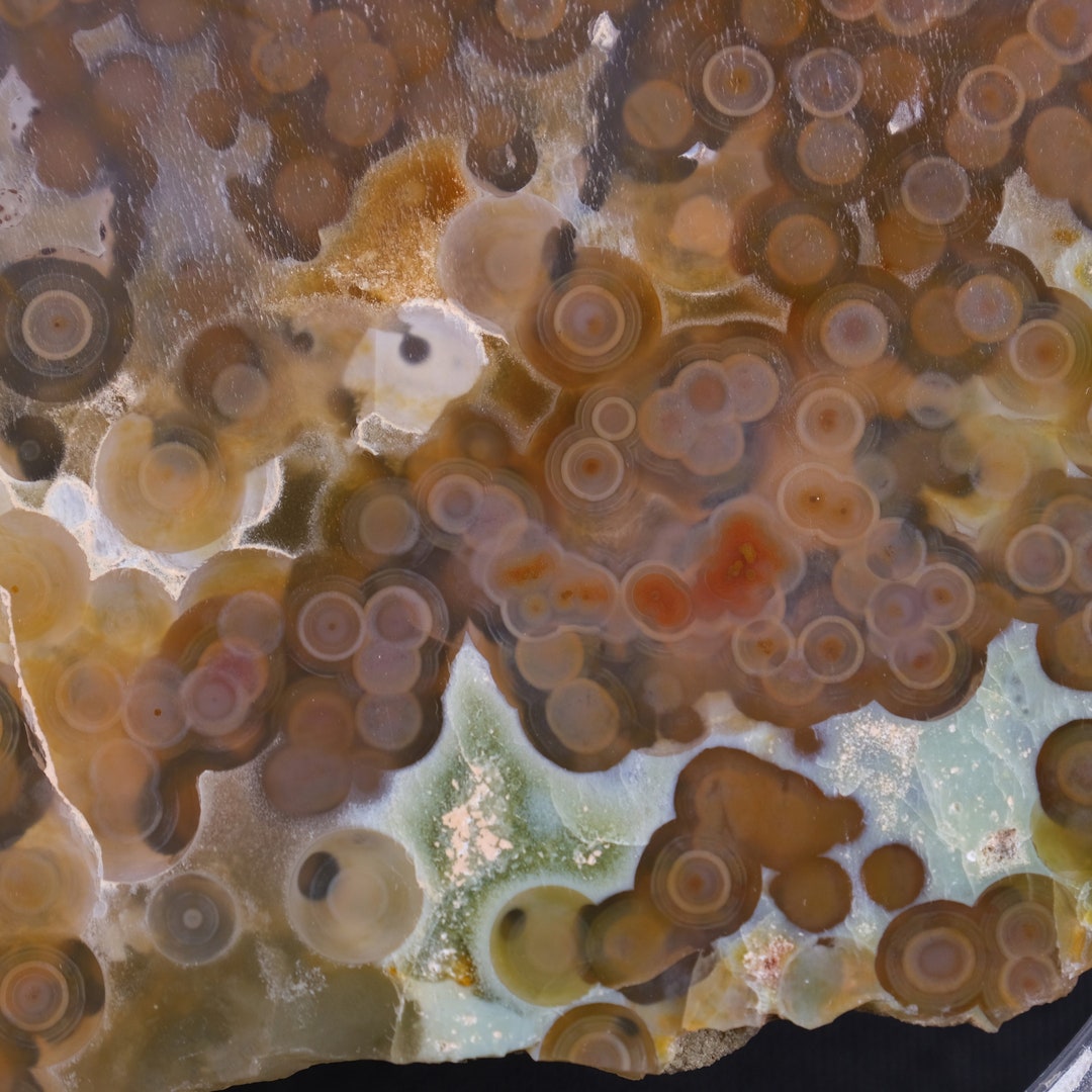 Rare! Old Stock Translucent Jelly Natural Ocean Jasper Slab Marovato ...