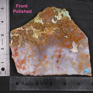 Rare! Old Stock Translucent Jelly Natural Ocean Jasper Slab Marovato ...