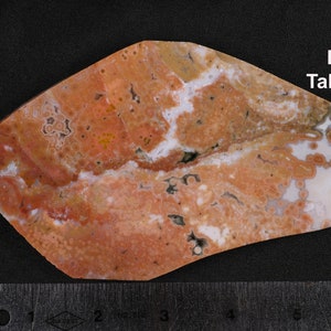 Rare! Old Stock Translucent Natural Ocean Jasper Slab Marovato ...