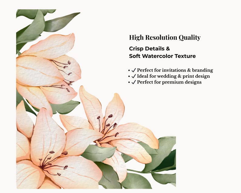 Watercolor Floral Border PNG - Etsy UK