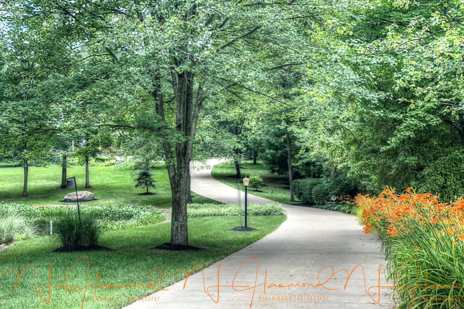 Wedding Digital Background Summer Backdrop Path Background | Etsy