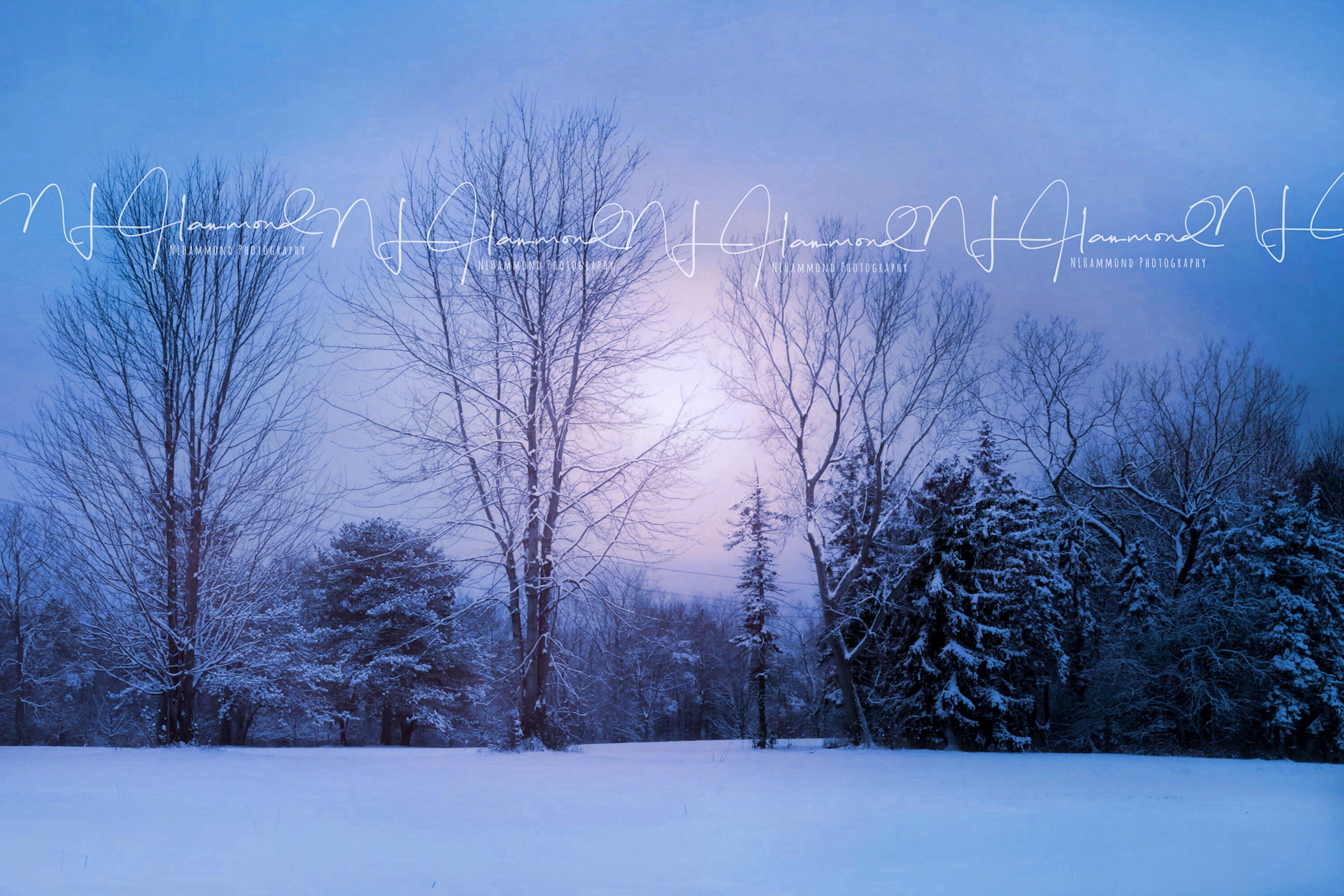 Winter digital background digital backdrop snow background | Etsy