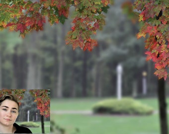 Autumn/fall Backdrop / Digital Background / Autumn Colors / Path / Falling Leaves (Instant ...