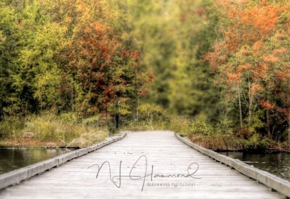 Fall background digital fall digital backdrop path woodsy | Etsy