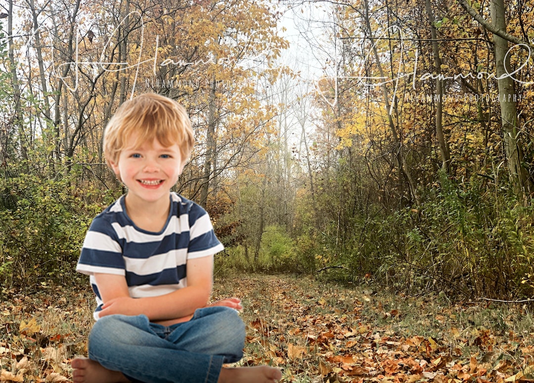 Fall Digital Background Fall Backdrop Kids Background Path Background ...