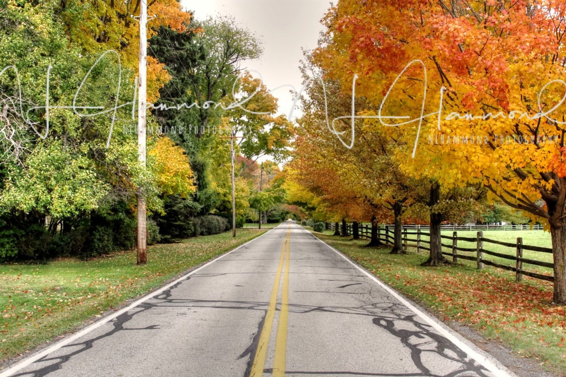 Fall Country Road Digital Background Fall Path Background Digital ...