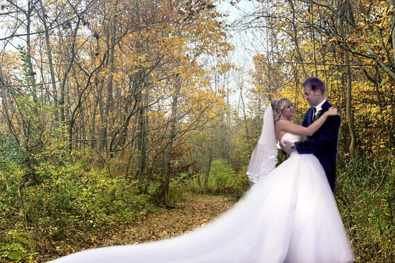 Fall Digital Background Fall Backdrop Path Background Wedding - Etsy