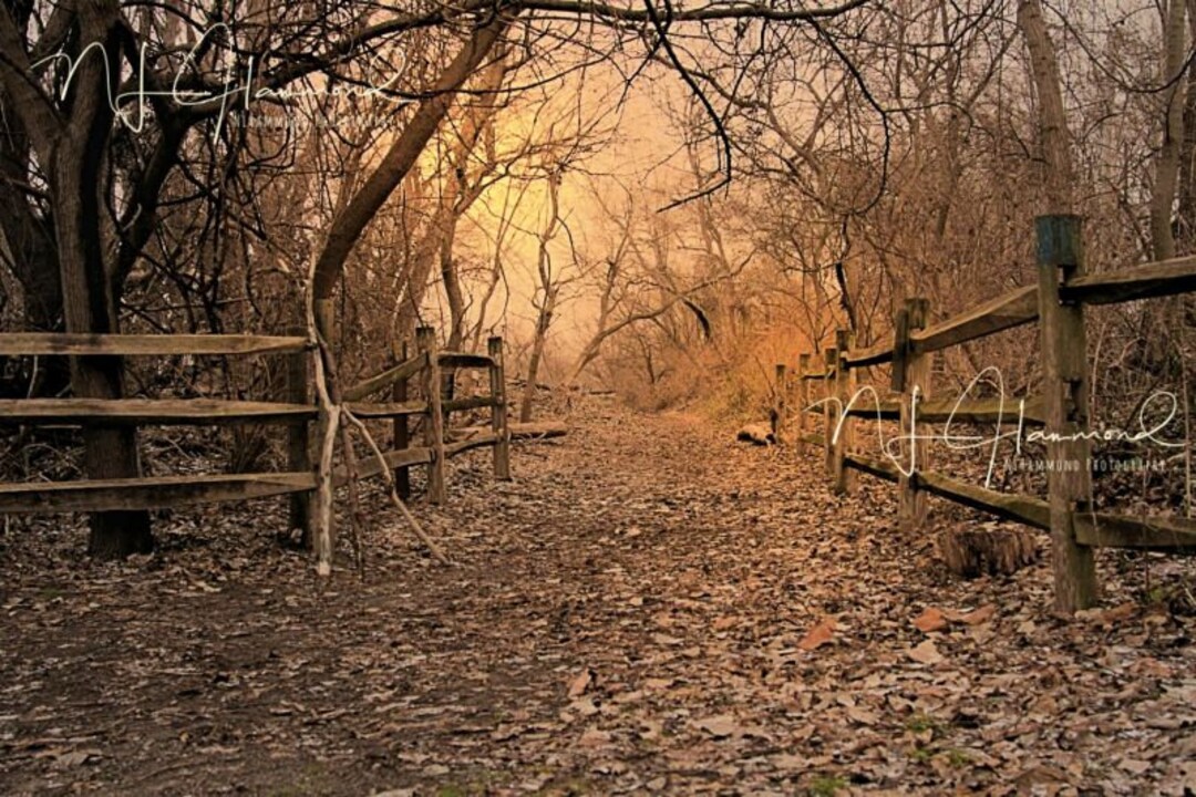 Fall Background Digital With Path, Fall Background, Path Backgrounds ...