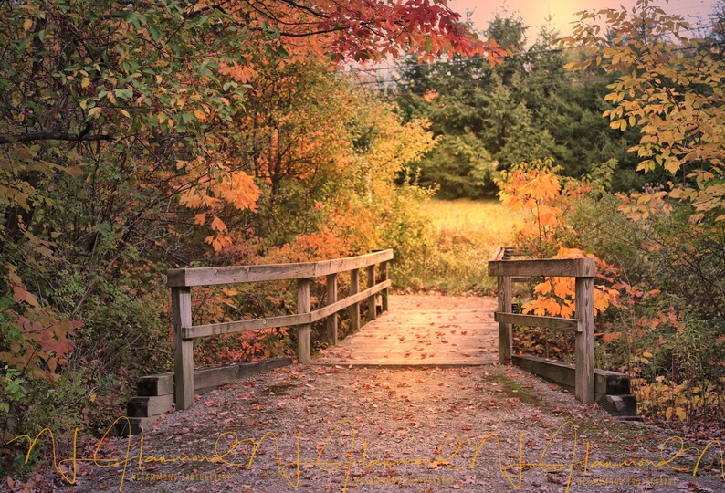 Fall Digital Background 2 Digital Bridge Background Fall - Etsy