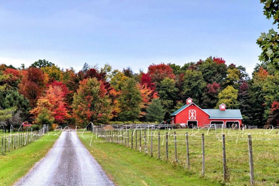 Barn Digital Background With Path Fall Digital Backdrop Wedding Digital ...