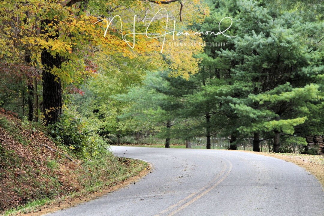 Fall Country Road Digital Background Autumn Backdrop - Etsy