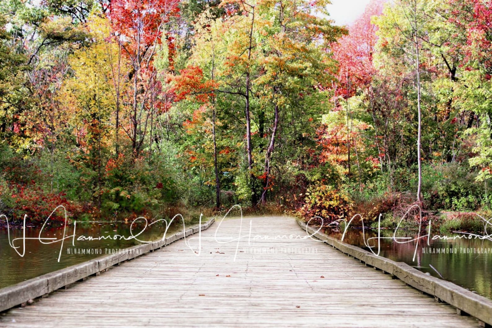 Fall Digital Backdrop Fall Background Path Backgournd Path - Etsy