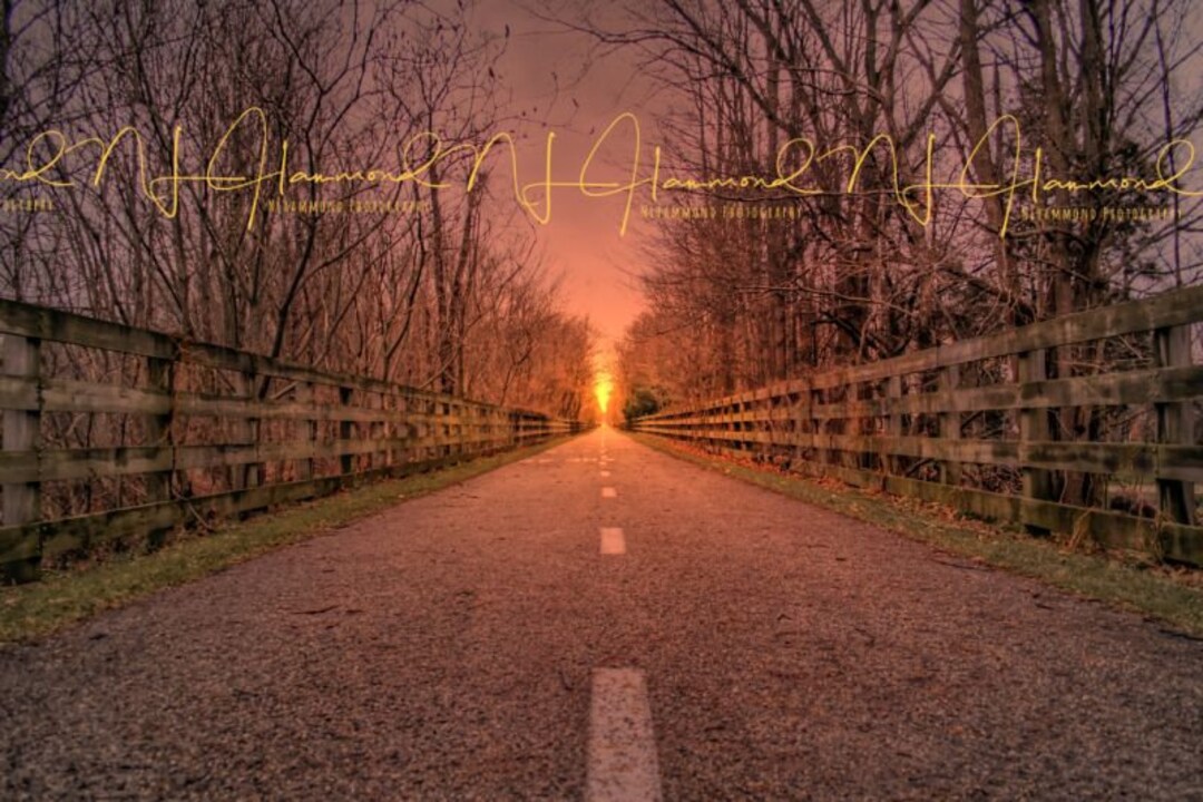 Fall Digital Background Fall Backdrop Path Background Path Backdrop ...