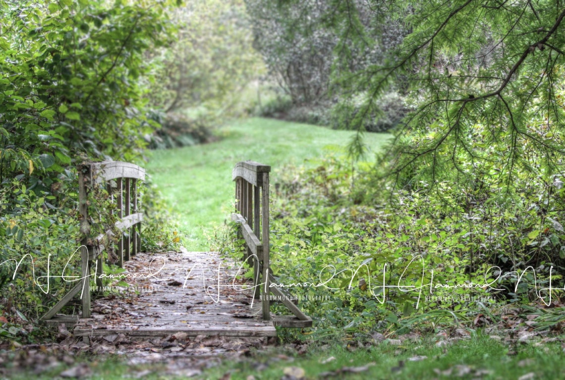 Spring Digital Background With Bridge Summer Digital Backdrop | Etsy