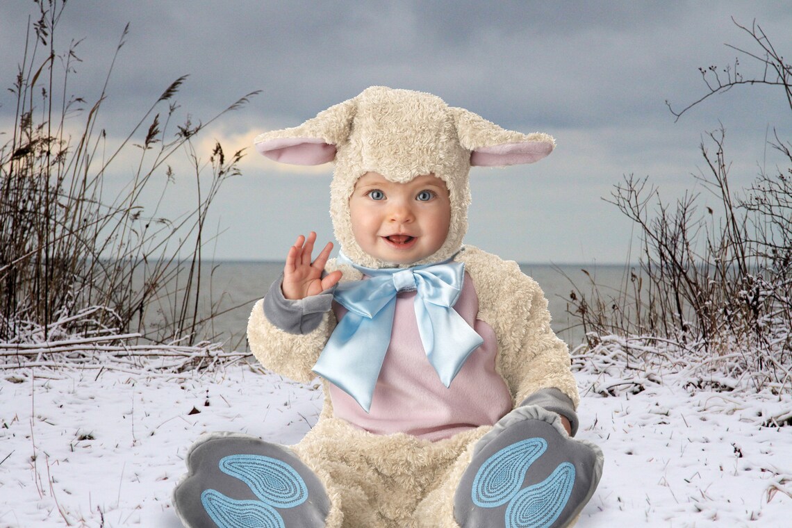 Christmas Backdrop Baby Backdrop Winter Digital Background - Etsy