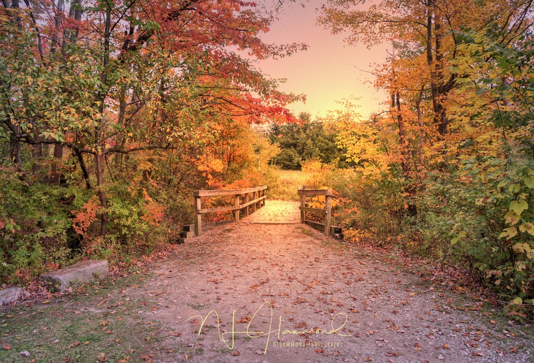 Fall Digital Background (2) Digital Bridge Background Fall Leaves Fall ...