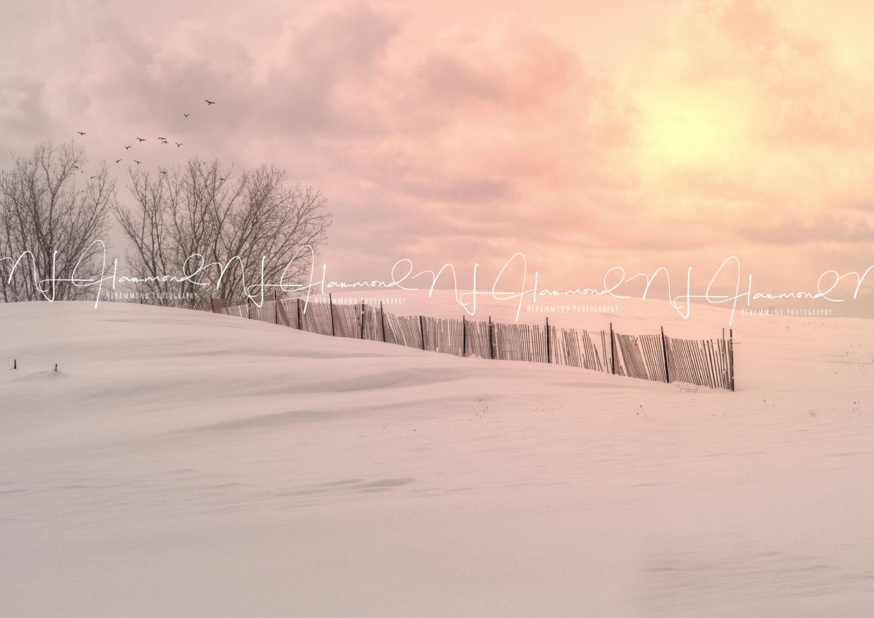 Winter Digital Backdrop With Fence Digital Print Christmas - Etsy
