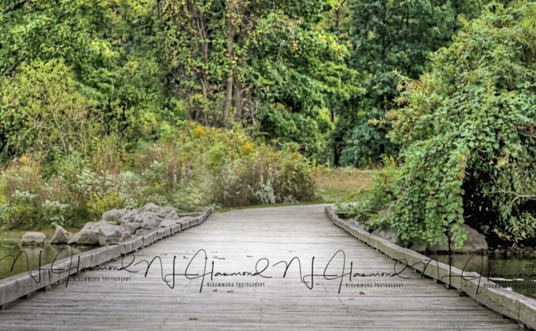 Summer Path Digital Background Summer or Spring Digital Backdrop Path ...