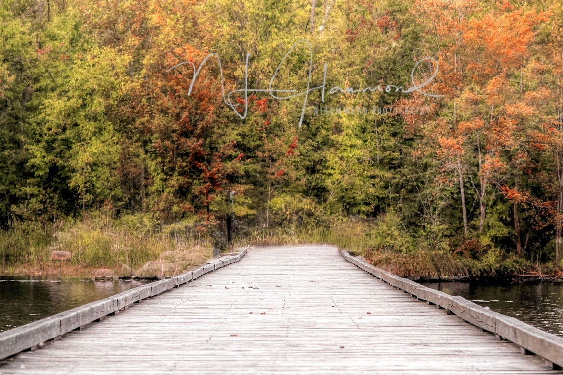 Fall Digital Backdrop Fall Digital Background Path Digital - Etsy